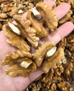 Walnuts: A Nutrient-Dense Snack Supported by Science and Commonly ...