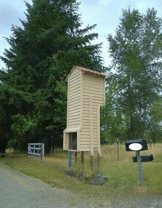 The Unseen Hero by the Road: How a Simple Structure Quietly Improves ...